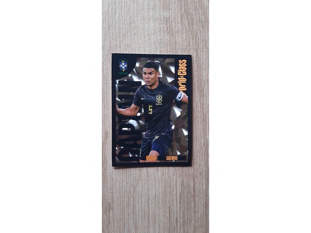 World Class Panini 2024 sličica broj 055