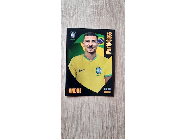 World Class Panini 2024 sličica broj 047