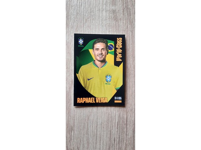 World Class Panini 2024 sličica broj 046