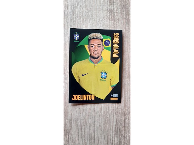 World Class Panini 2024 sličica broj 045