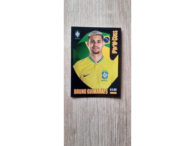 World Class Panini 2024 sličica broj 043