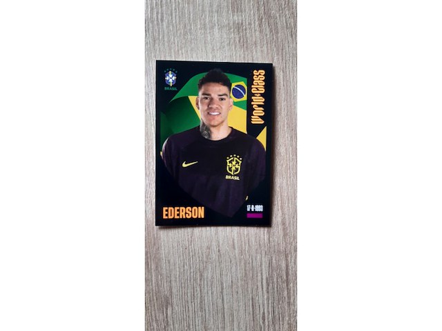 World Class Panini 2024 sličica broj 035