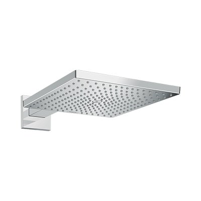 Hansgrohe Raindance ruža tuša e 300 26238000
