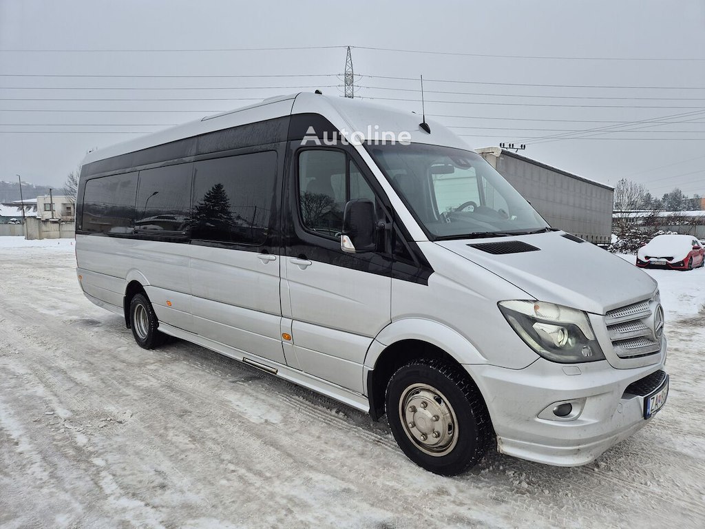Mercedes-Benz Sprinter 516 putnički minibus