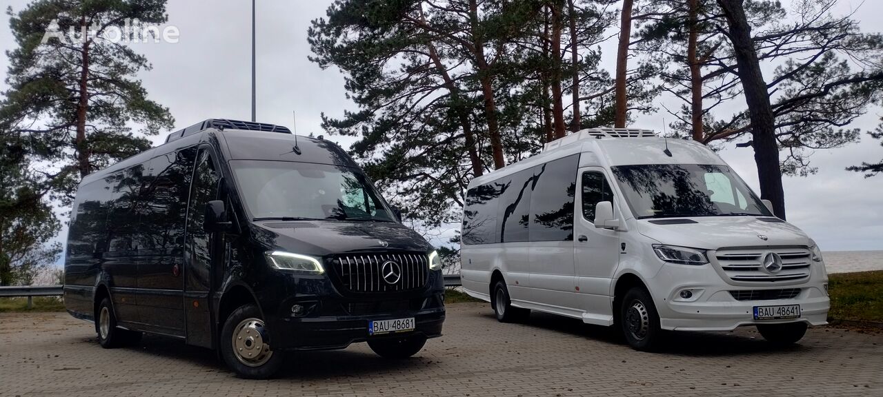 Novi Mercedes-Benz Sprinter 519 TELMA!!! VIP!!! putnički minibus
