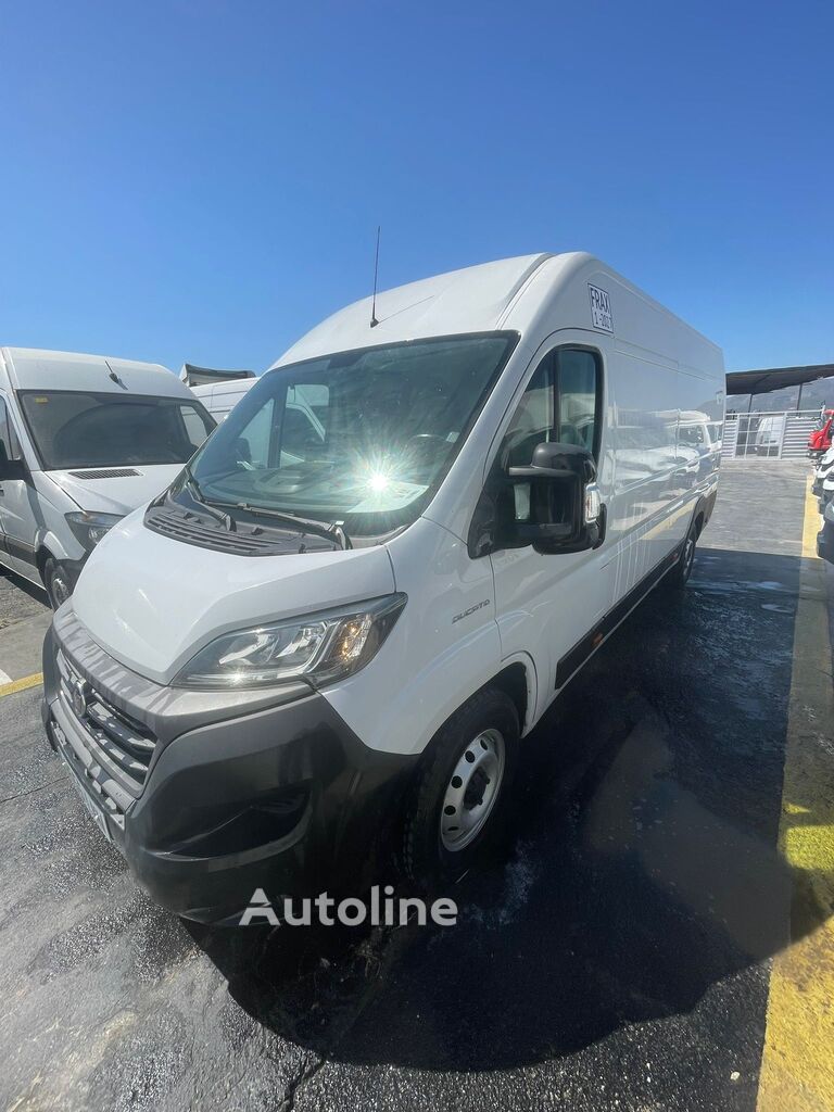 Fiat DUCATO 2.3 MAXI CARNE COLGADA CARNICERA minibus hladnjača