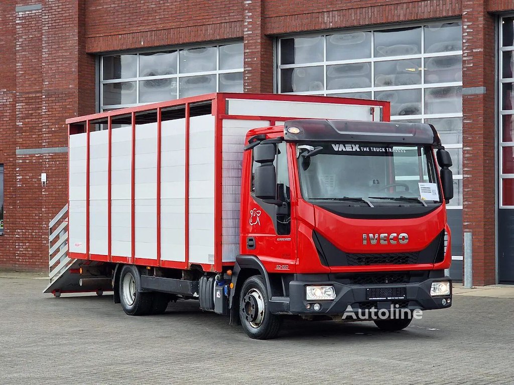 IVECO Eurocargo 80.220 Livestock 1 deck - Air suspension - Manual gear kamion za prevoz stoke