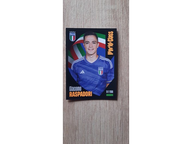 World Class Panini 2024 sličica broj 131