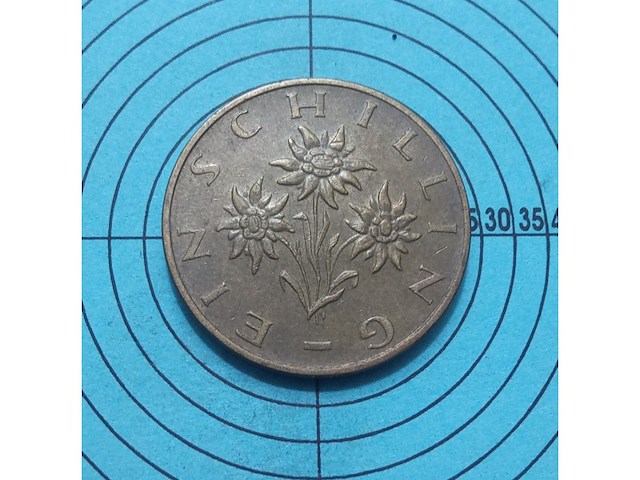 Austrija 1 schiling 1981g km2886