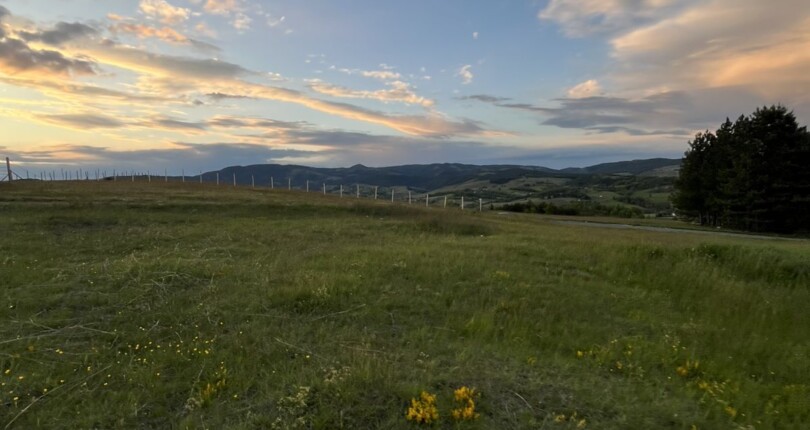 Prodaja placa u selu Ljutice-Tometino Polje