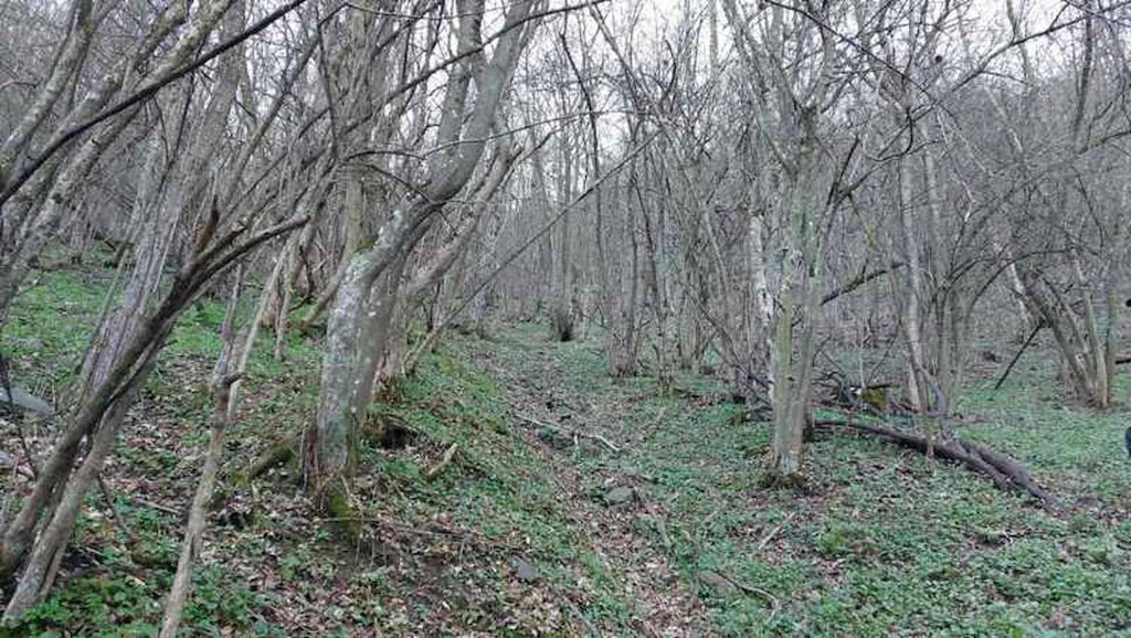 Stan, Boljevac - Jablanica | Prodaja · 15.000€