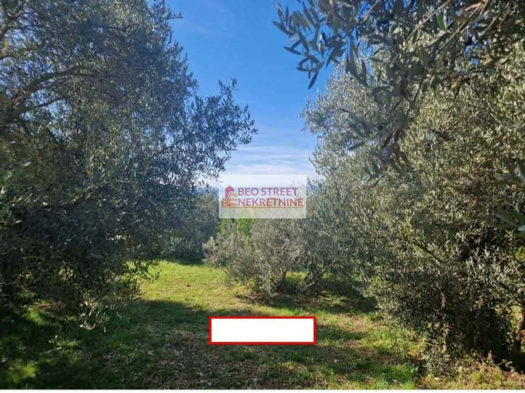 Kuća, Budva | Prodaja · 303m² · 1.000.000€