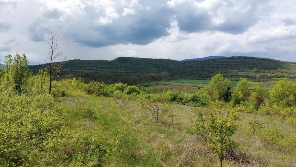 Kuća, Zaječar - Gornja Bela Reka | Prodaja · 31m² · 13.000€