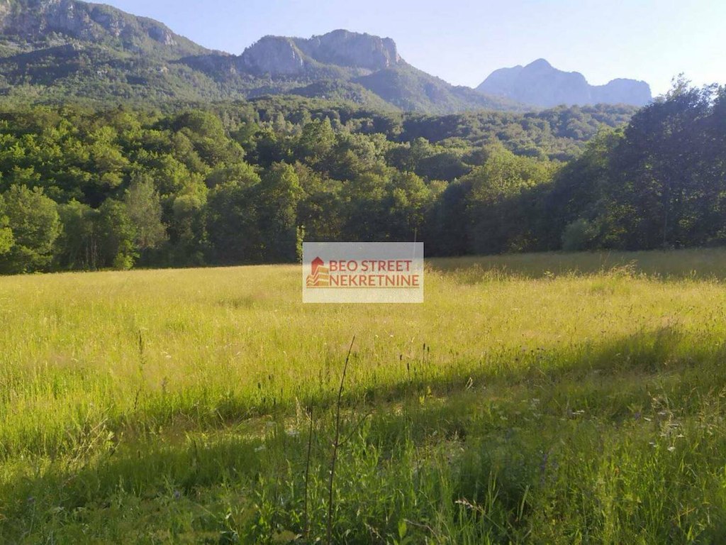 Plac, Kolašin | Prodaja · 300.000€
