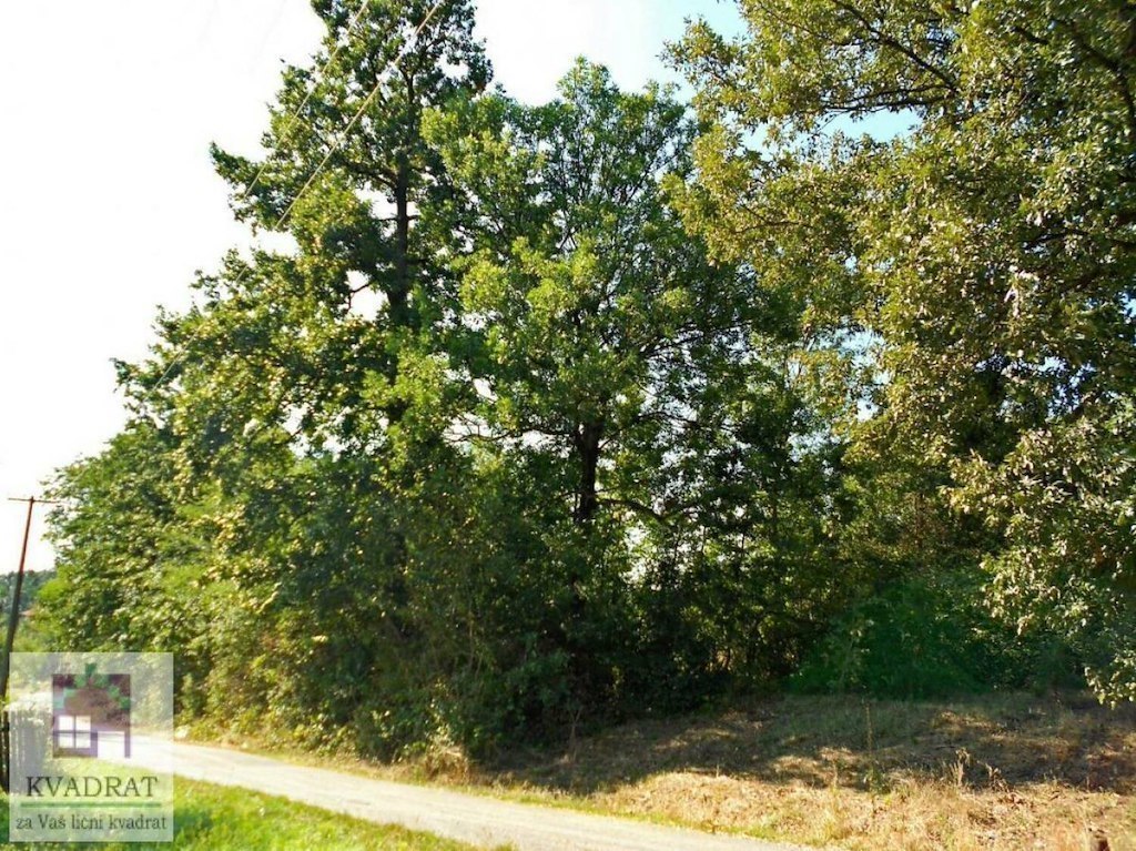 Plac, Beograd - Mala Moštanica | Prodaja · 24.000€