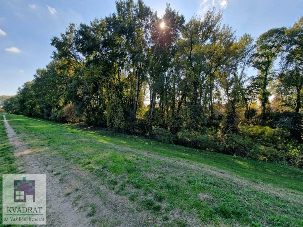Plac, Beograd – Progar | Prodaja · 35.000€
