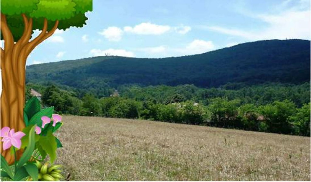 Plac, Beograd – Rogača | Prodaja · 4600m²