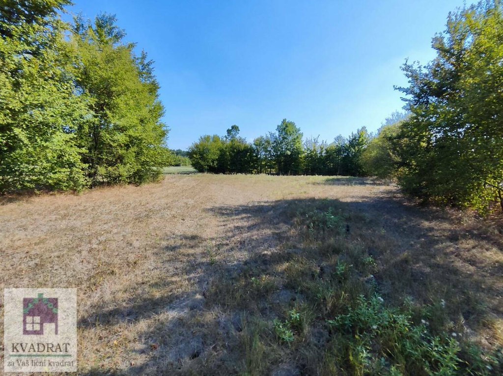 Plac, Beograd - Poljane | Prodaja · 4.400€