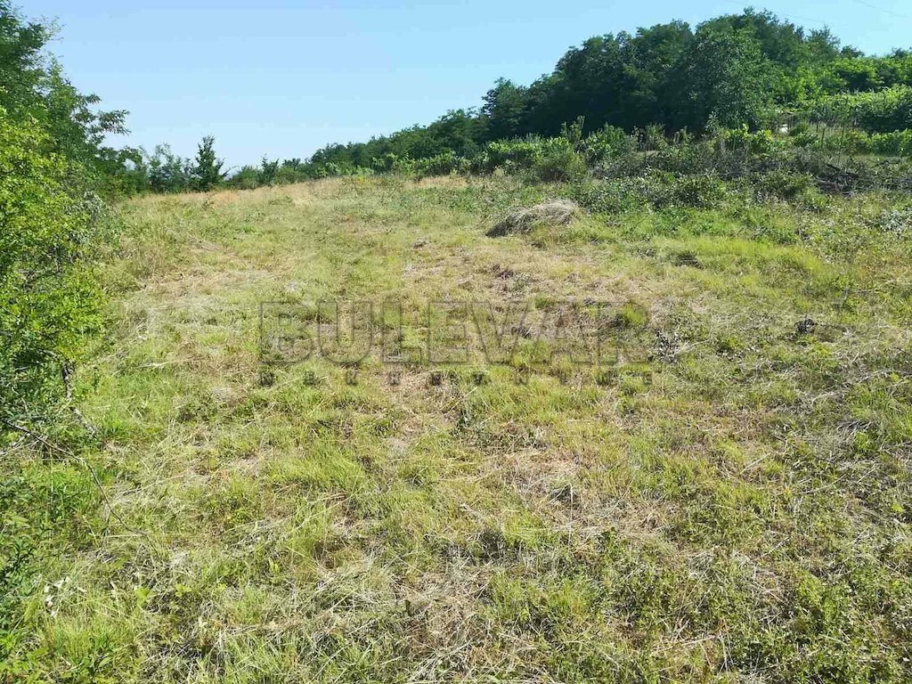 Plac, Niš - Donje Vlase | Prodaja · 2098m² · 15.000€