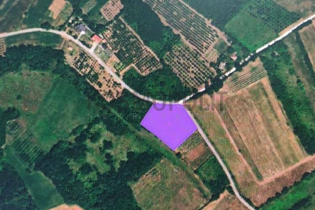 Plac, Beograd - Mala Ivanča | Prodaja · 4200m² · 77.500€