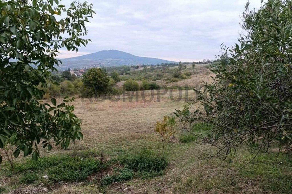 Plac, Beograd - Ripanj | Prodaja · 5000m² · 29.900€