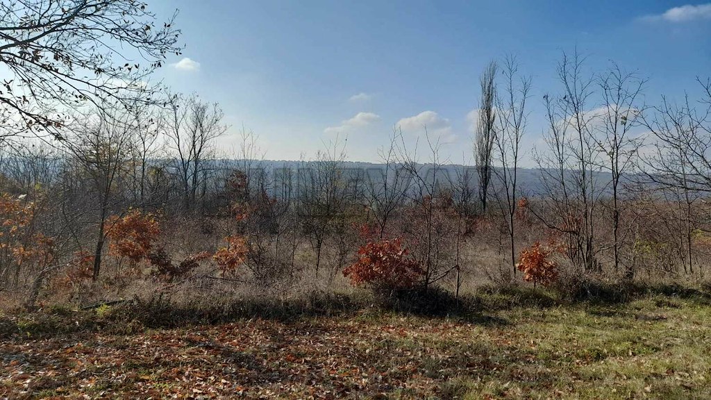 Plac, Kragujevac - Petrovac | Prodaja · 11623m² · 72.100€