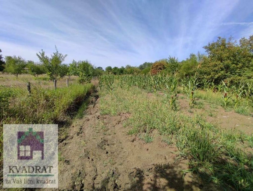 Plac, Beograd - Draževac | Prodaja · 15.300€