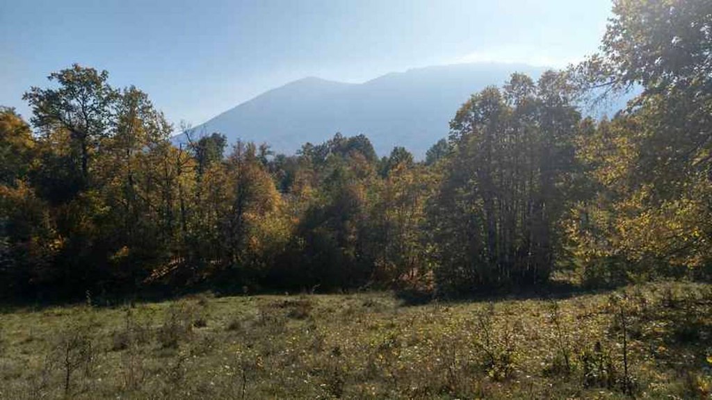 Plac, Boljevac - Lukovo | Prodaja · 26.500€