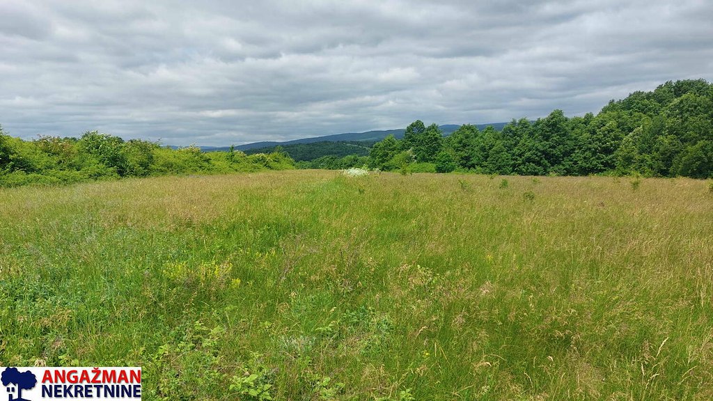 Plac, Boljevac - Mirovo | Prodaja · 26.500€