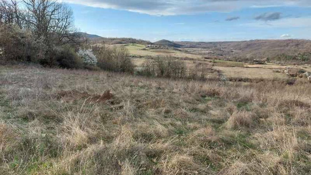 Plac, Boljevac - Vrbovac | Prodaja · 19.000€