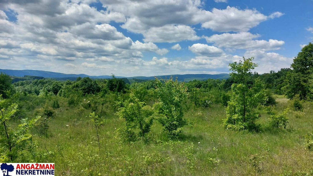 Plac, Boljevac - Mirovo | Prodaja · 40.600€