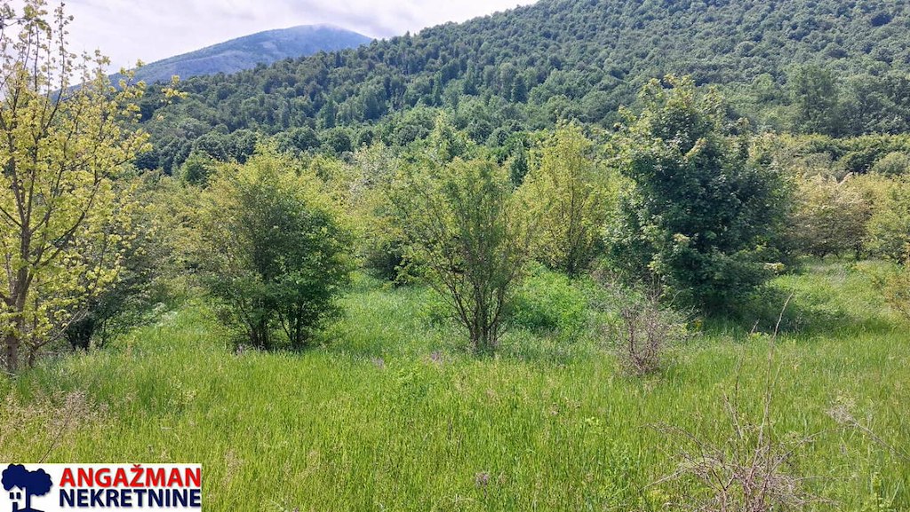 Plac, Boljevac - Mirovo | Prodaja · 7.000€