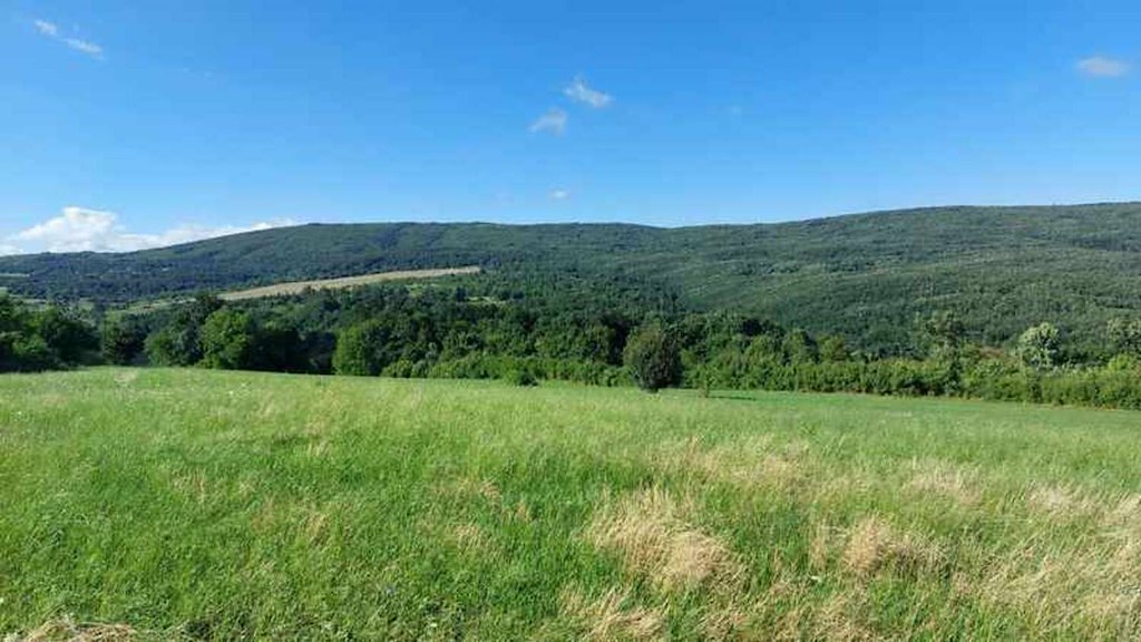 Plac, Boljevac - Krivi Vir | Prodaja · 30.000€