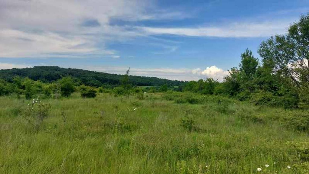 Plac, Boljevac - Mirovo | Prodaja · 8.350€
