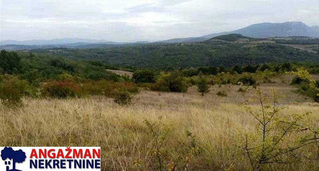 Plac, Boljevac - Vrbovac | Prodaja · 50.000€