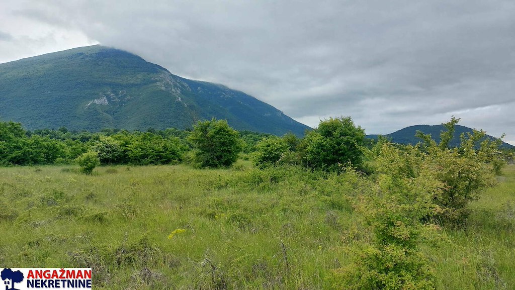 Plac, Boljevac - Mirovo | Prodaja · 15.500€