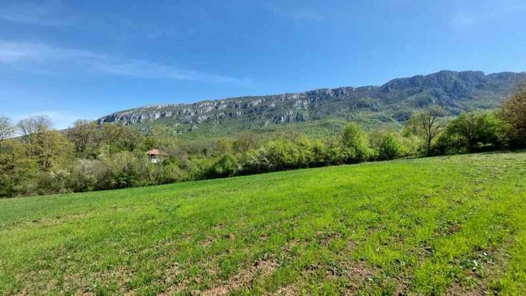 Plac, Zaječar - Lasovo | Prodaja · 14.000€