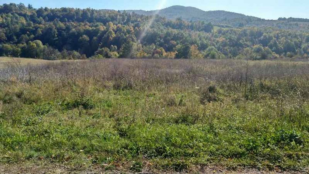 Plac, Boljevac - Bačevica | Prodaja · 23.800€