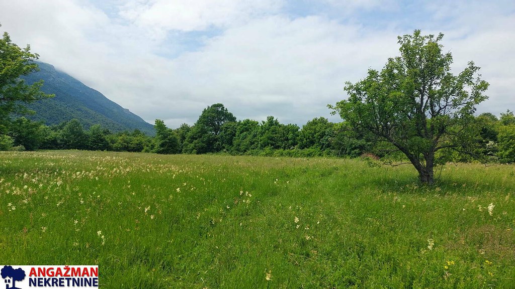 Plac, Boljevac - Mirovo | Prodaja · 75.000€