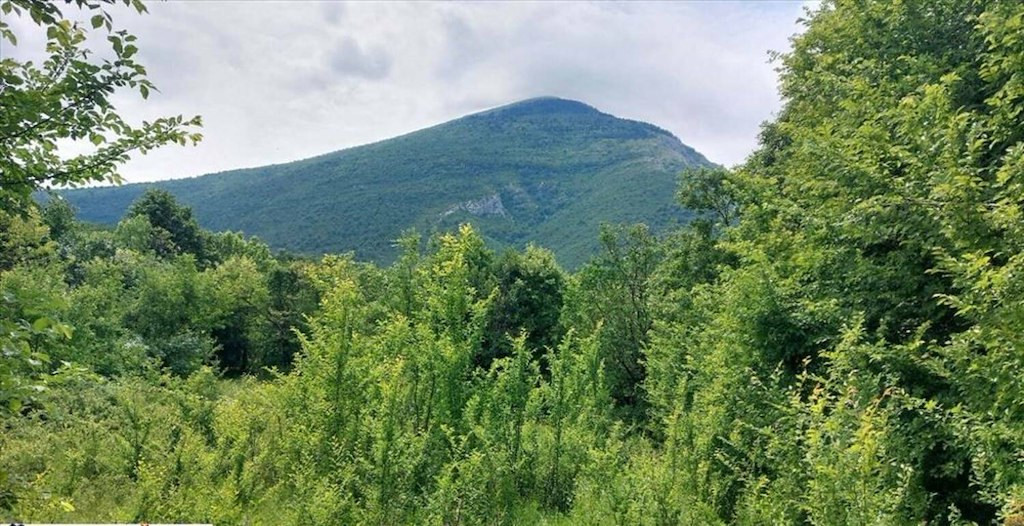 Plac, Boljevac - Mirovo | Prodaja · 8.500€
