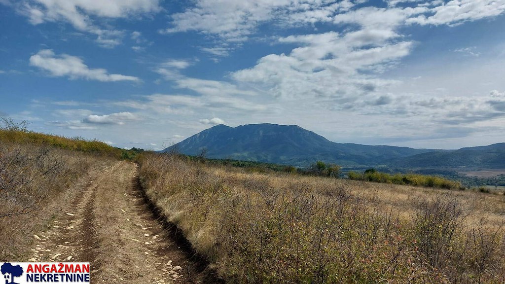 Plac, Boljevac - Krivi Vir | Prodaja · 8.900€