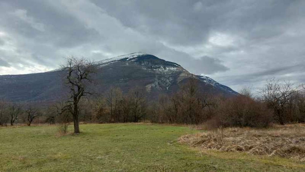 Plac, Boljevac - Mirovo | Prodaja · 41.000€