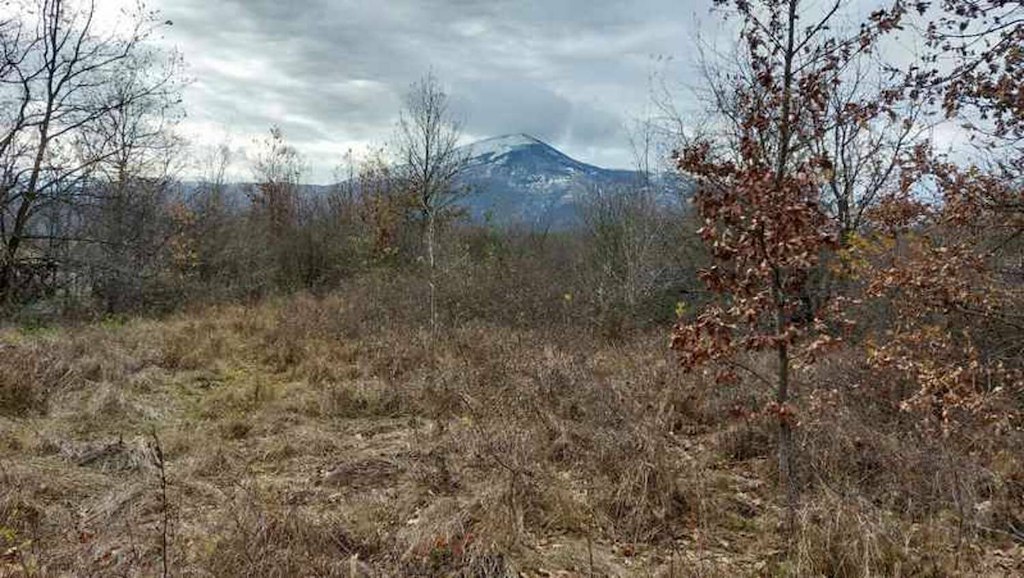 Plac, Boljevac - Mirovo | Prodaja · 6.500€