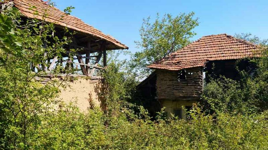 Plac, Boljevac - Osnić | Prodaja · 6.500€