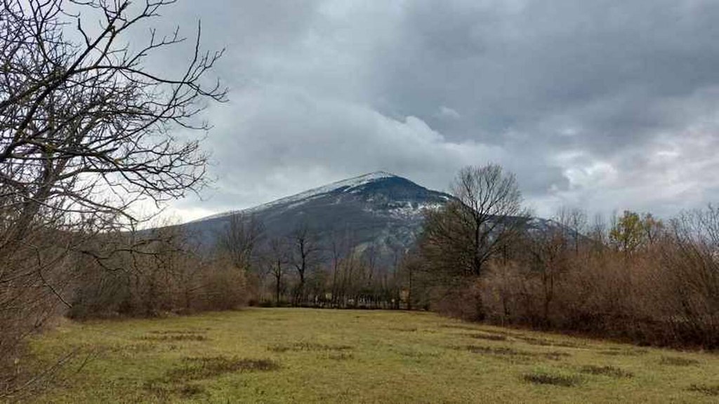 Plac, Boljevac - Mirovo | Prodaja · 12.400€