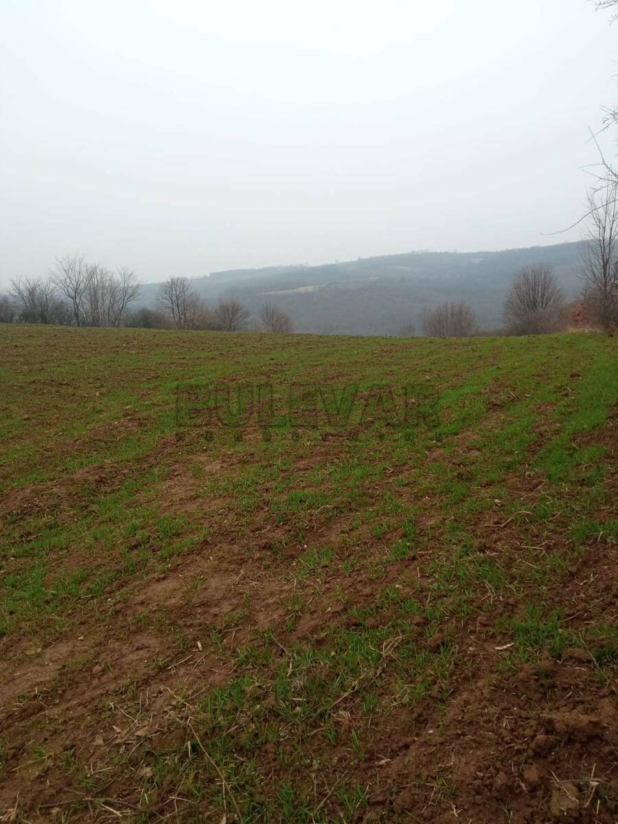Plac, Malo Crniće - Malo Crniće | Prodaja · 39971m² · 22.000€