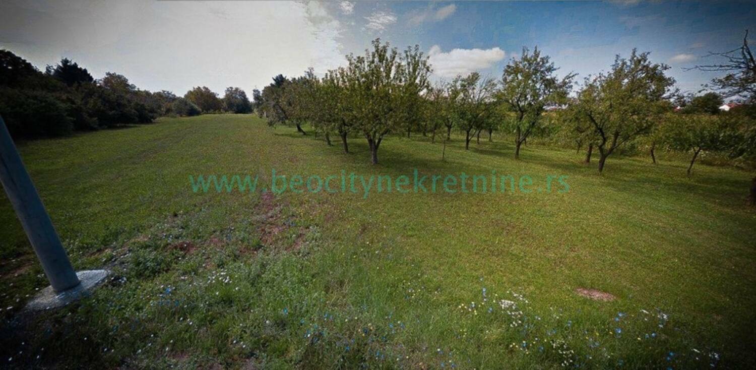 Plac, Beograd - Ključ | Prodaja · 5600m² · 168.000€
