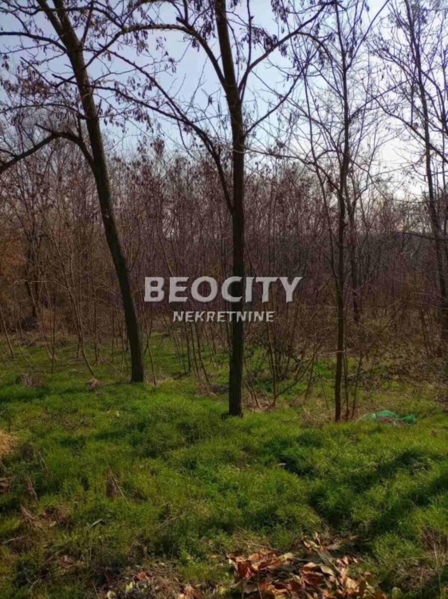 Plac, Beograd - Vrčin | Prodaja · 1000m² · 30.000€