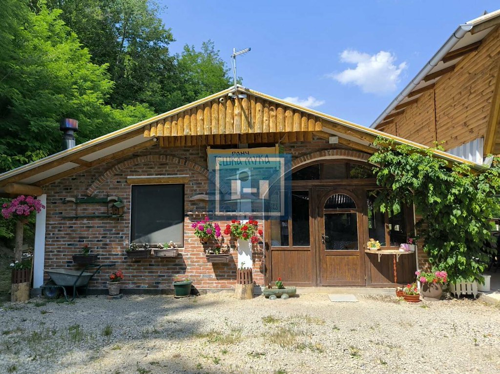 Poslovni prostor / Lokal, Despotovac - Panjevac | Prodaja · 250m² · 180.000€