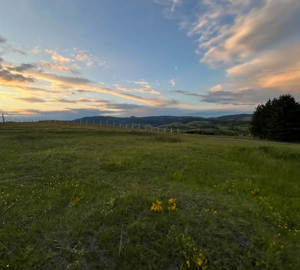 Prodaja, plac, 7500m², Tometino Polje, Požega